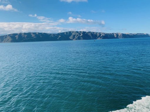 A Guide for the Wellington to Picton Ferry | Cook Strait | Interislander