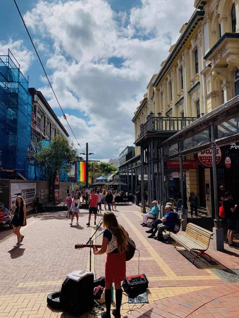 8 MUST DO Wellington Activities | A Complete 1 Day Wellington Itinerary