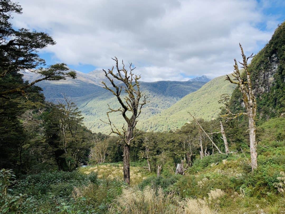The Lake Marian Track | Fiordland National Park Hiking | Milford Sound