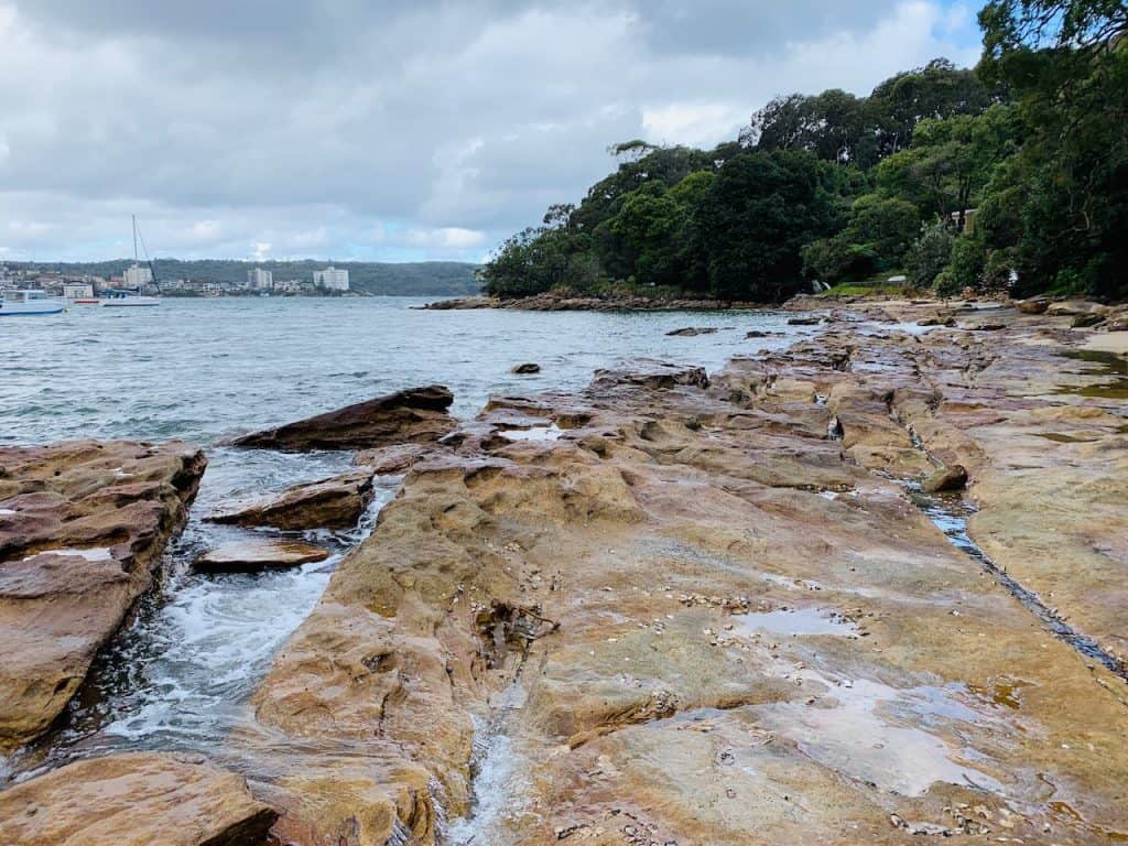 The Spit Bridge to Manly Walk | EVERYTHING YOU NEED TO KNOW