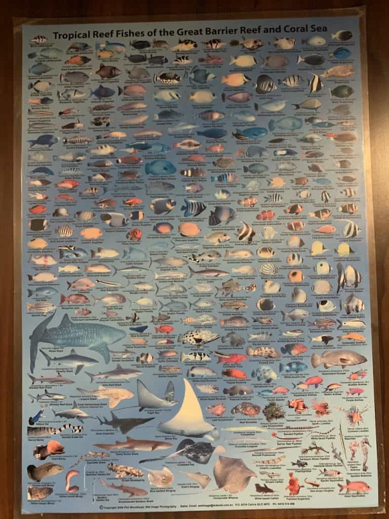 A Perfect Guide to a Great Barrier Reef Liveaboard | TripTins