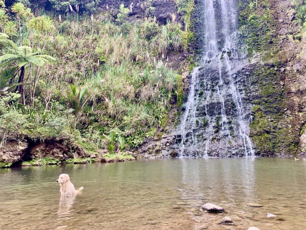 Karekare Falls & Karekare Beach / Waitakere Ranges / New Zealand