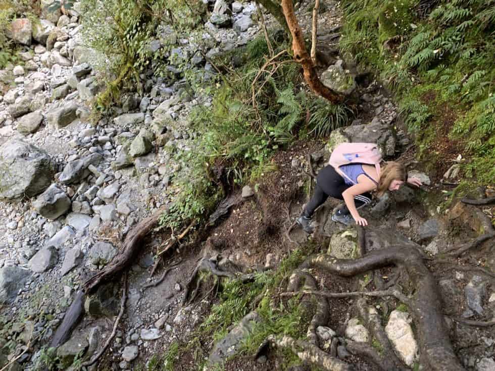 The Lake Marian Track | Fiordland National Park Hiking | Milford Sound