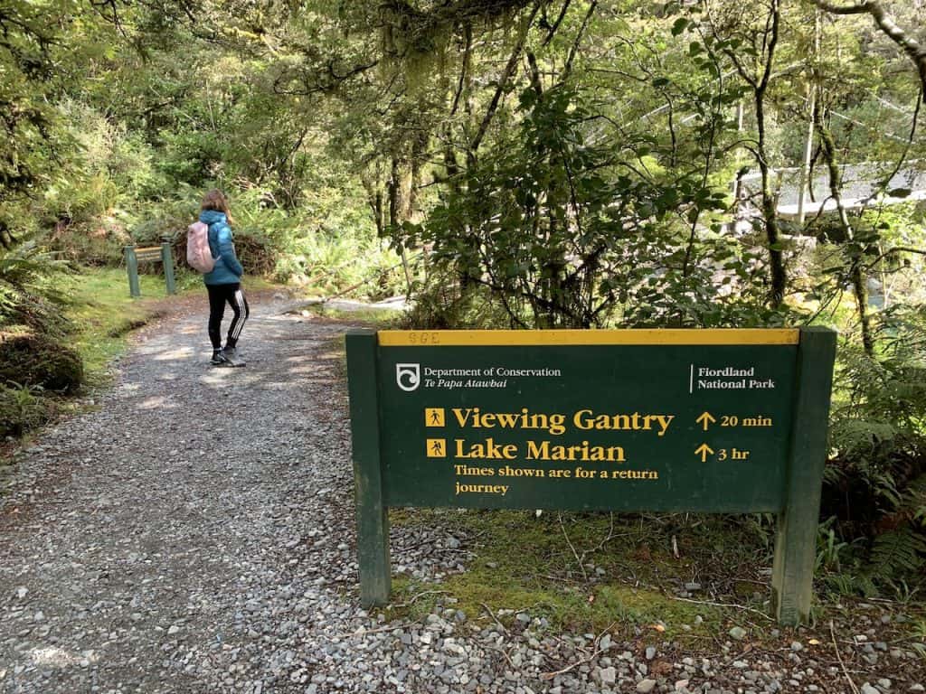 The Lake Marian Track | Fiordland National Park Hiking | Milford Sound