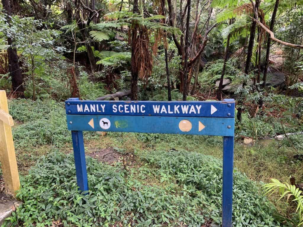 The Spit Bridge to Manly Walk | Overview, Map, Logistics & More