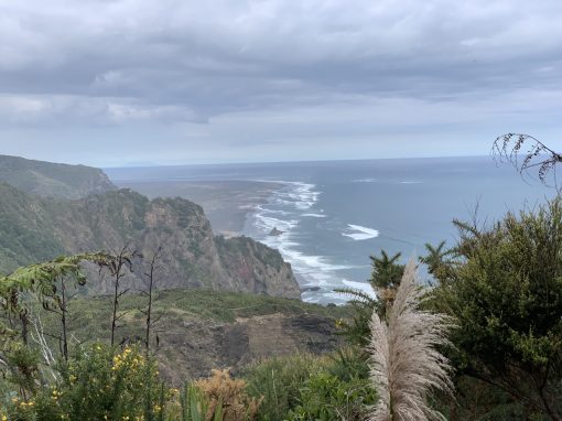 The Mercer Bay Loop Walk of the Waitakere Ranges | New Zealand