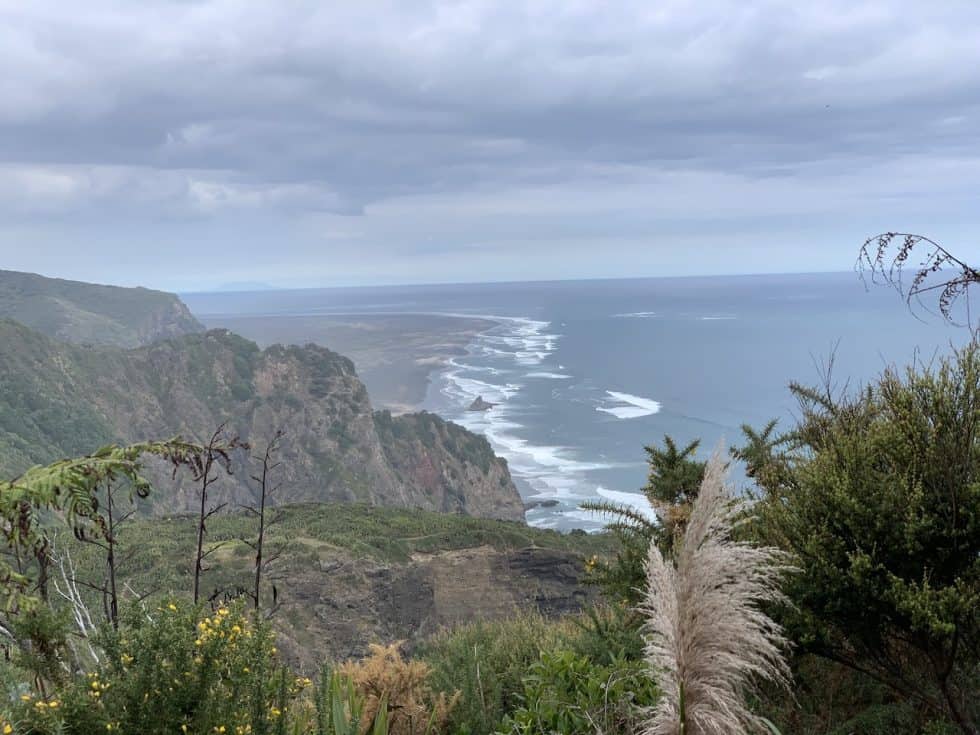 The Mercer Bay Loop Walk of the Waitakere Ranges | New Zealand