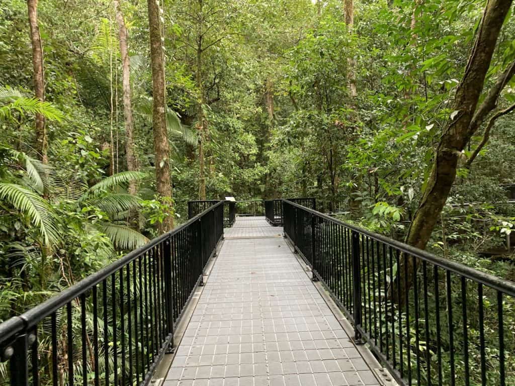 A Helpful Guide to the Mossman Gorge Walk | Mossman Gorge Swimming