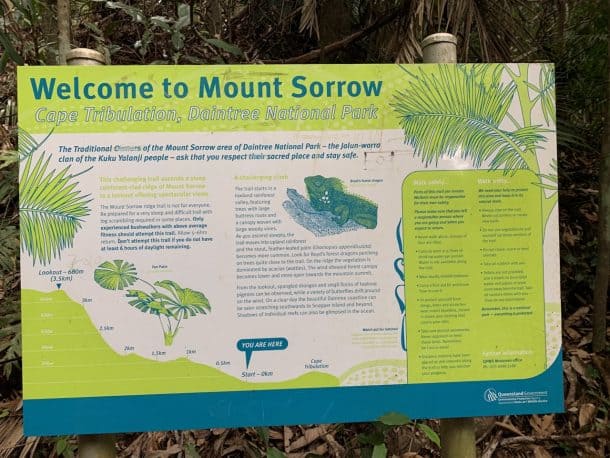 Hiking the Mount Sorrow Ridge Trail | Daintree Rainforest | TripTins