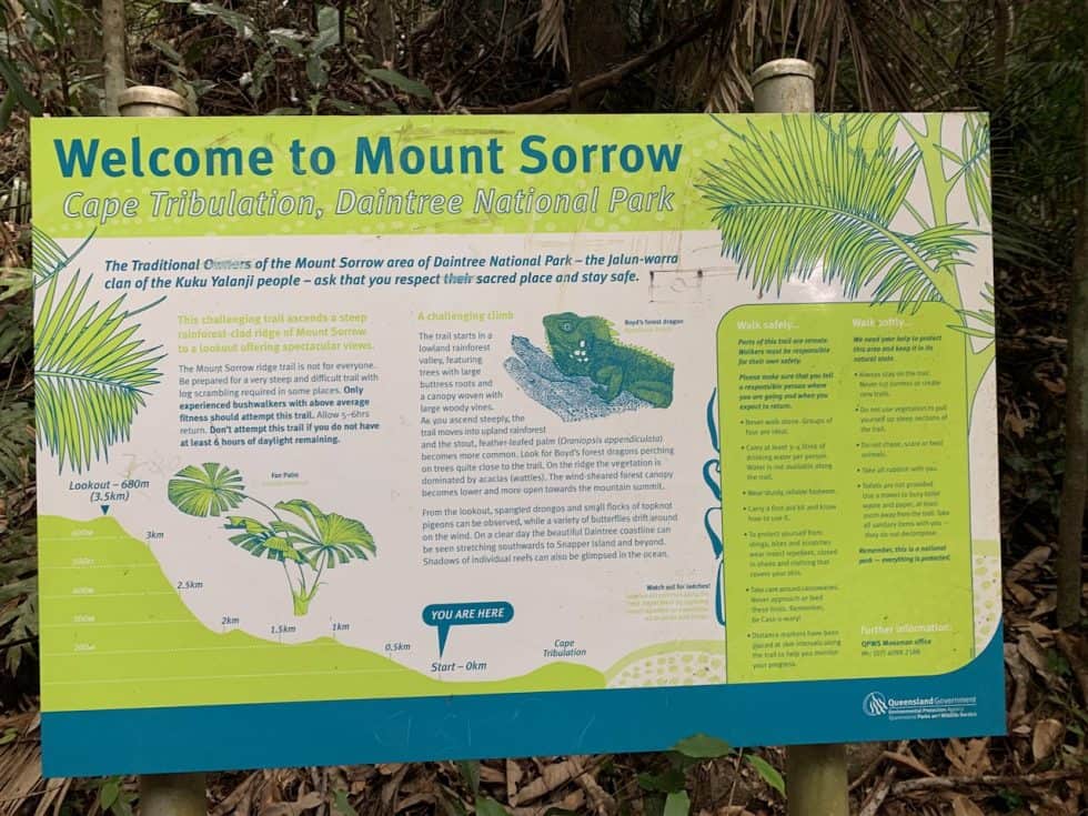 Hiking the Mount Sorrow Ridge Trail | Daintree Rainforest | TripTins