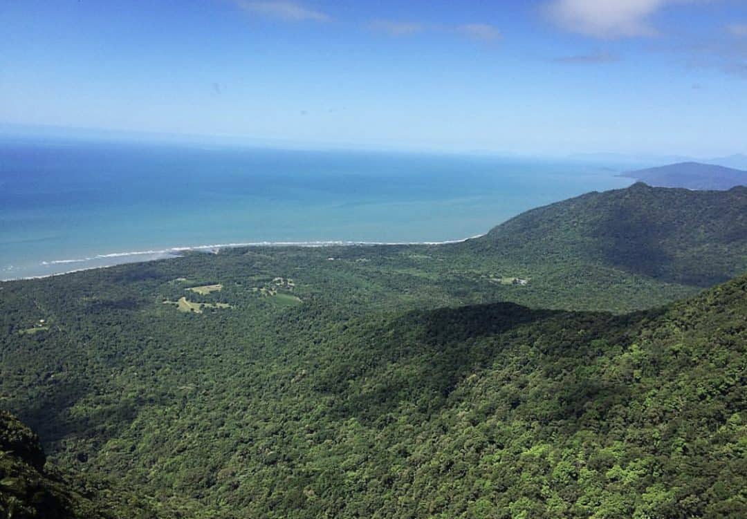 Hiking the Mount Sorrow Ridge Trail | Daintree Rainforest | Australia