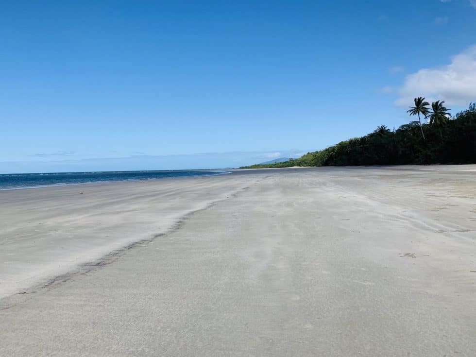 Hiking the Mount Sorrow Ridge Trail | Daintree Rainforest | TripTins