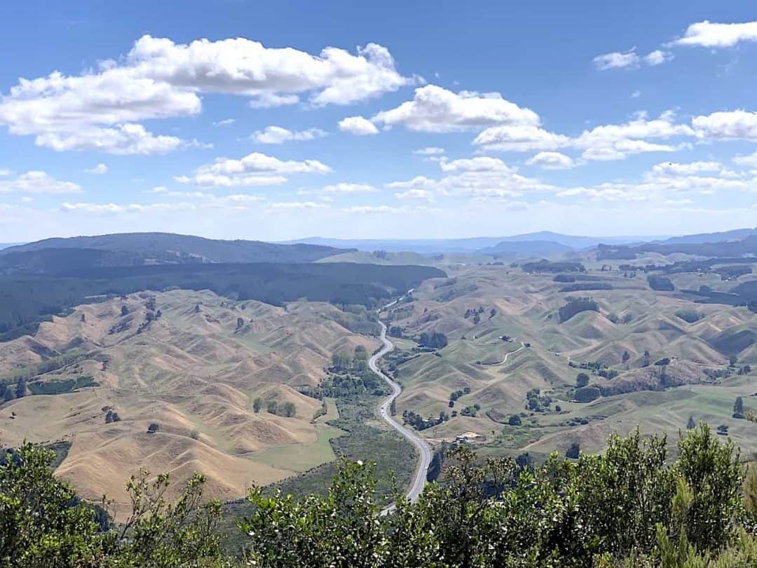 12 Amazing Things To Do in Rotorua, New Zealand + Itinerary