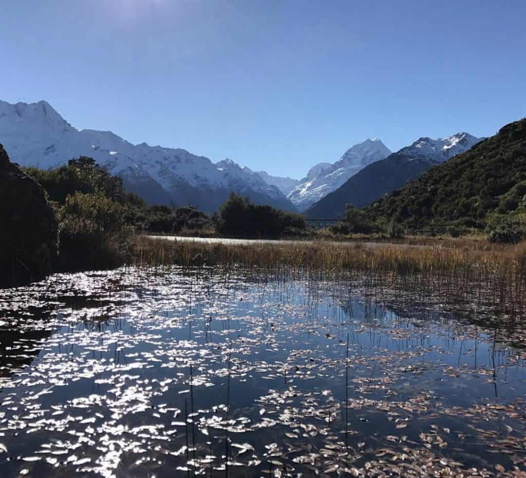 A Helpful Guide to the Red Tarns Track of Mount Cook National Park
