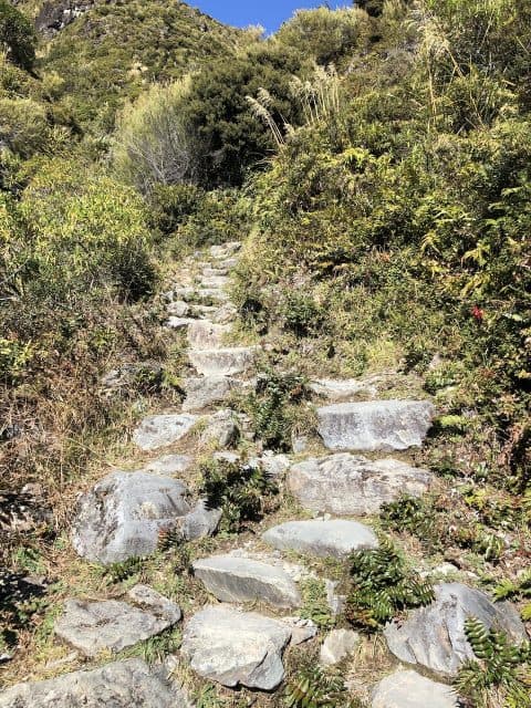 A Helpful Guide to the Red Tarns Track of Mount Cook National Park
