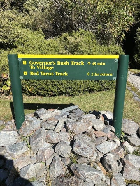 A Helpful Guide to the Red Tarns Track of Mount Cook National Park