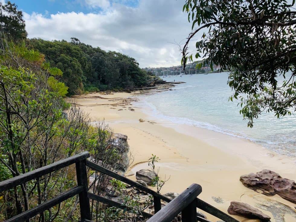 The Spit Bridge to Manly Walk | EVERYTHING YOU NEED TO KNOW
