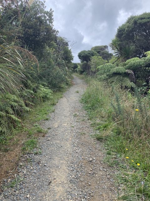 The Mercer Bay Loop Walk of the Waitakere Ranges | New Zealand