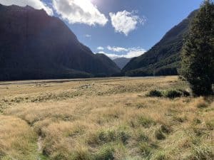 A Routeburn Track Day Hike | Routeburn Shelter to Routeburn Falls Hut