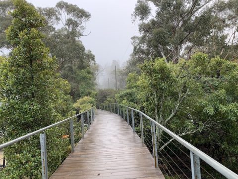 The Best Blue Mountains Hikes | Prince Henry, 3 Sisters & More