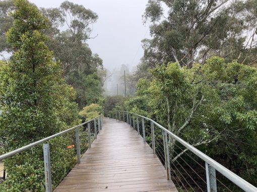 The Best Blue Mountains Hikes | Prince Henry, 3 Sisters & More
