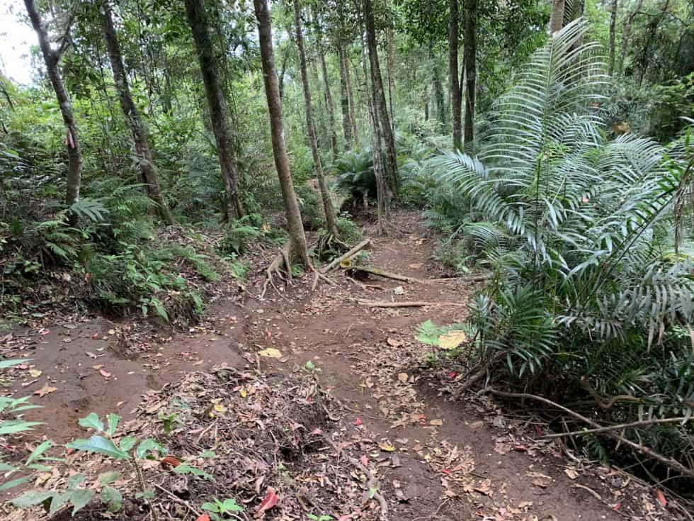 A Thorough Mount Rinjani Trekking Guide | How to Climb Rinjani