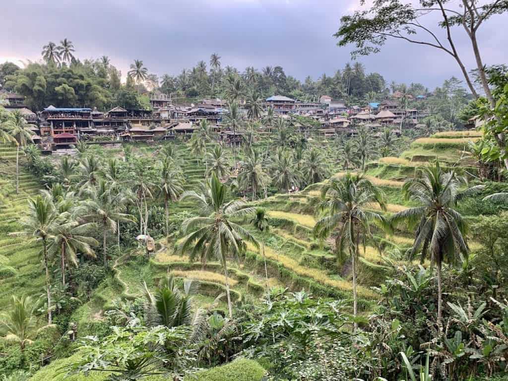 A Complete Ubud Itinerary | 3 Days in Ubud | Attractions, Tips, & Map