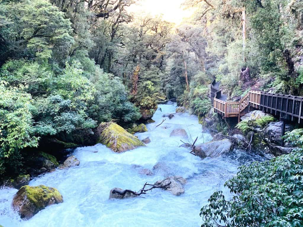 The Lake Marian Track | Fiordland National Park Hiking | Milford Sound