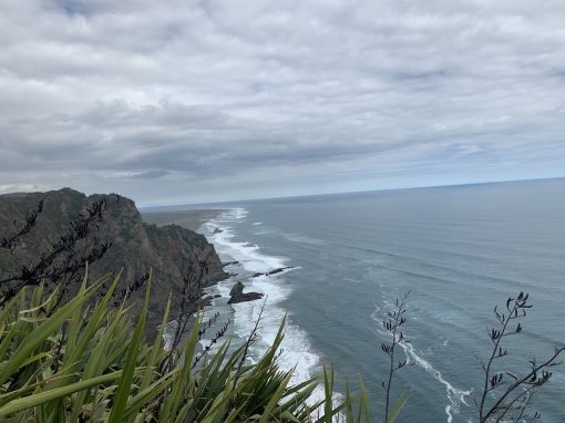 The Mercer Bay Loop Walk of the Waitakere Ranges | New Zealand