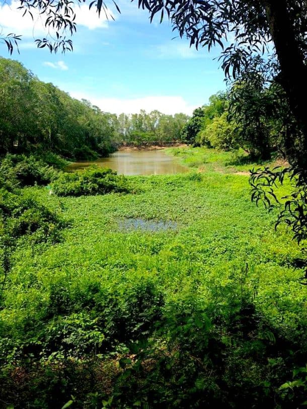 Visiting the Choeung Ek Killing Fields | Cambodia | TripTins