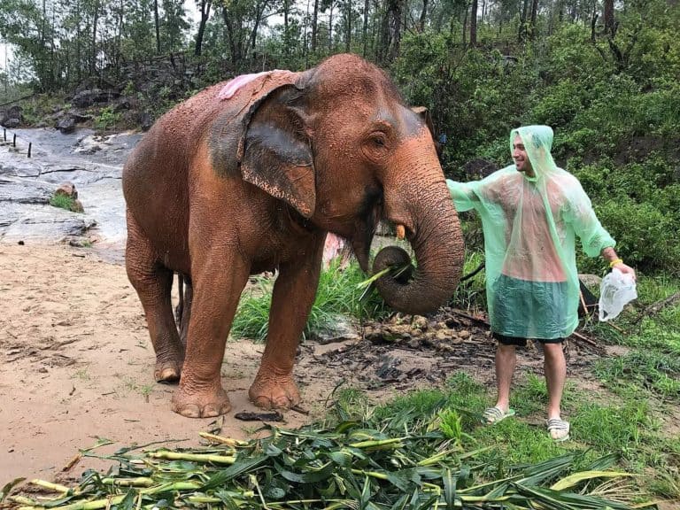 Patara Elephant Farm | The Best Elephant Sanctuary Chiang Mai | TripTins