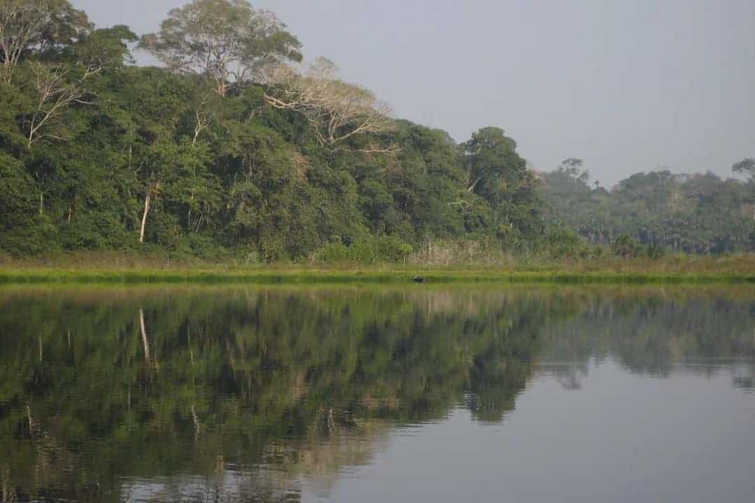 A Refugio Amazonas Lodge Rainforest Expeditions Experience | TripTins