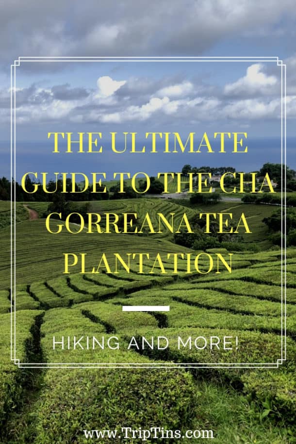 Chá Gorreana Tea Plantation Hike | São Miguel Azores | TripTins