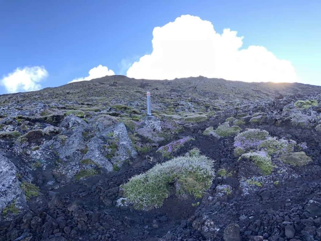 Hiking Mount Pico | The ONLY GUIDE YOU NEED for the Climb | TripTins