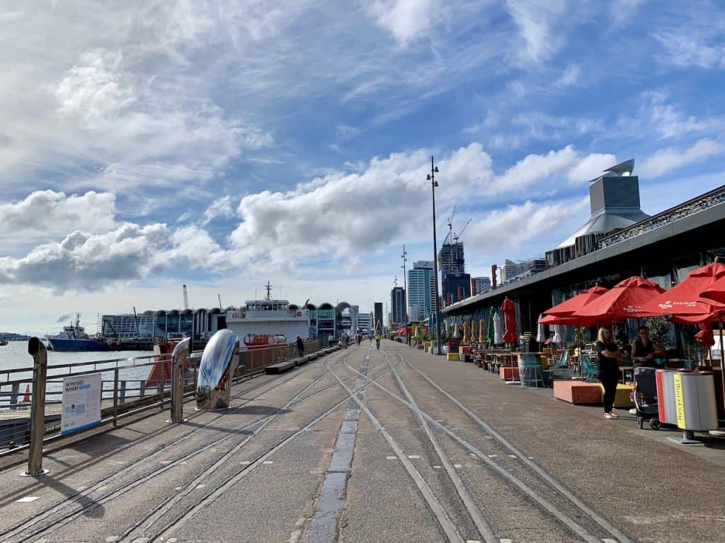 The Only 1 Day in Auckland Itinerary You Need | Guide & Tips! | TripTins