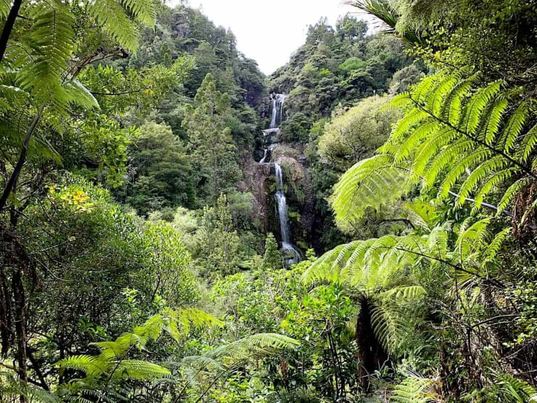 The 7 BEST Walks in the Waitakere Ranges (Beaches, Trails & Waterfalls)