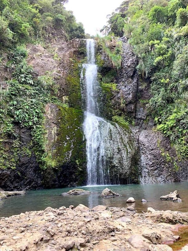 The 7 BEST Walks in the Waitakere Ranges (Beaches, Trails & Waterfalls)