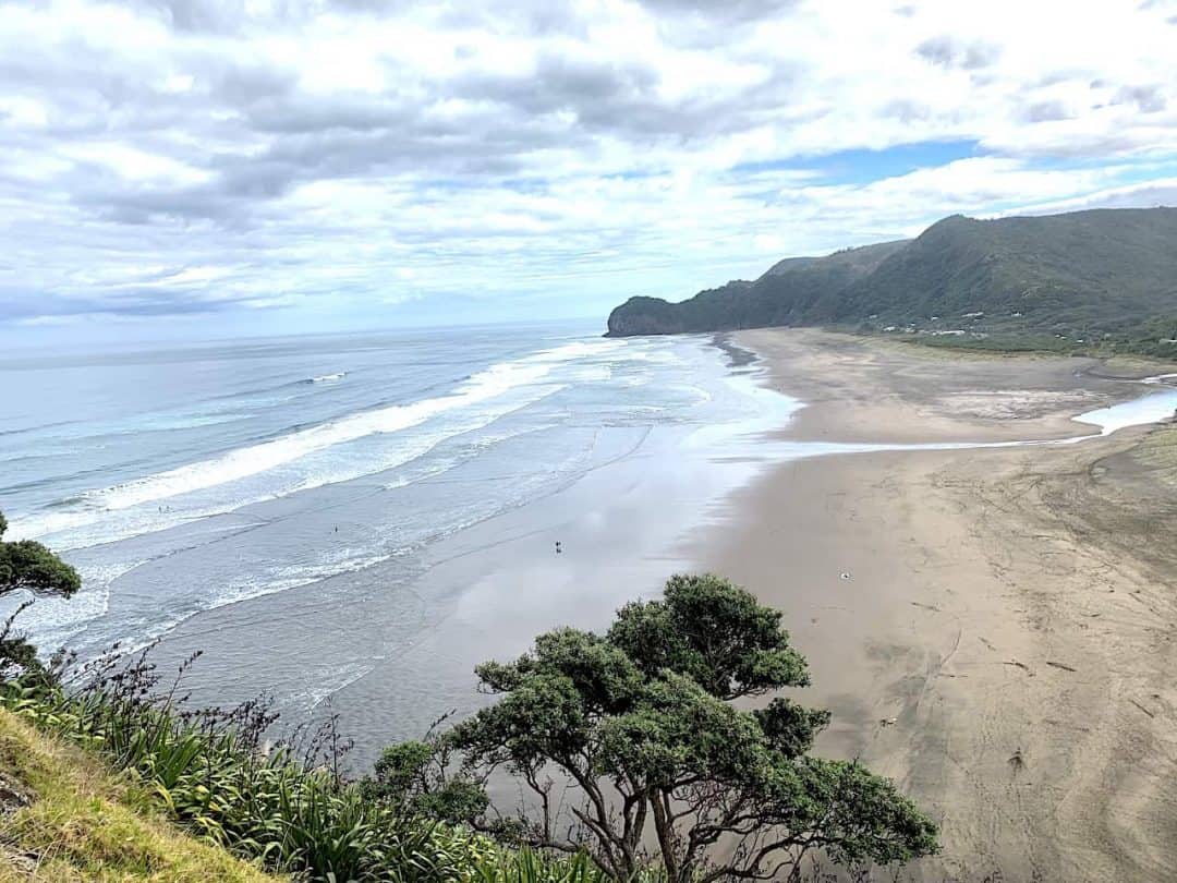 The 7 BEST Walks in the Waitakere Ranges (Beaches, Trails & Waterfalls)