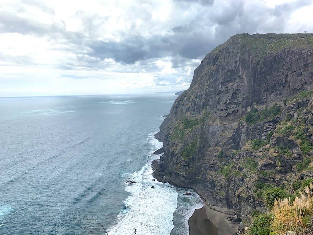 The 7 BEST Walks in the Waitakere Ranges (Beaches, Trails & Waterfalls)