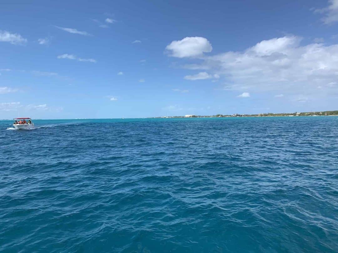 A Complete Guide to Scuba Diving in Cancun | PADI Scuba Total Cancun