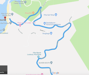 The 7 BEST Walks in the Waitakere Ranges (Beaches, Trails & Waterfalls)