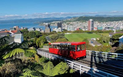 New Zealand | TripTins