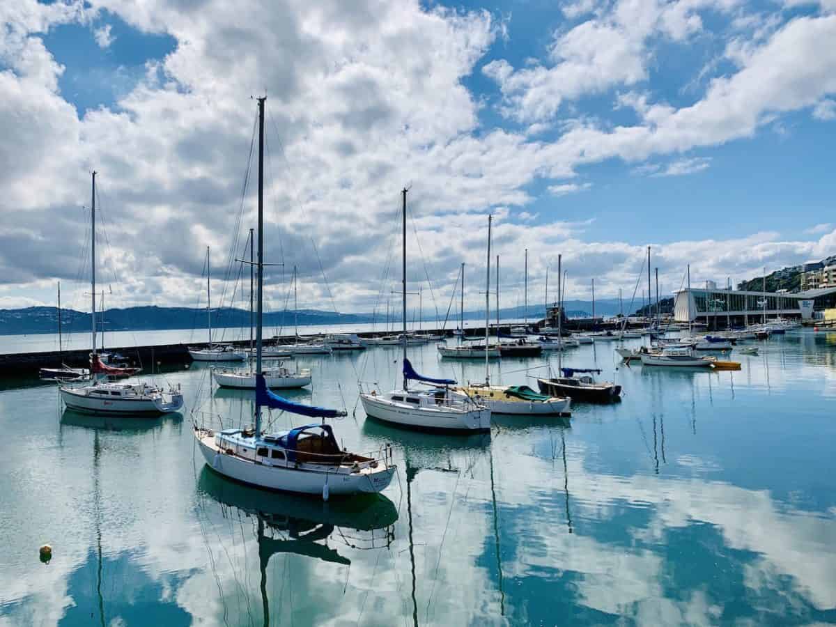 8 MUST DO Wellington Activities | A Complete 1 Day Wellington Itinerary