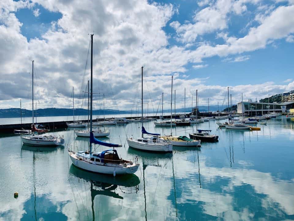 8 MUST DO Wellington Activities | A Complete 1 Day Wellington Itinerary