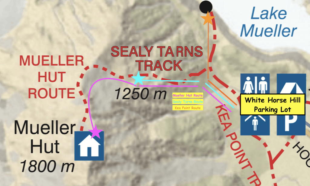 Hiking the Mueller Hut Track OFFICIAL GUIDE | Map, Info, & More!