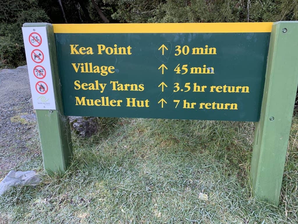 Hiking the Mueller Hut Track OFFICIAL GUIDE | Map, Info, & More!