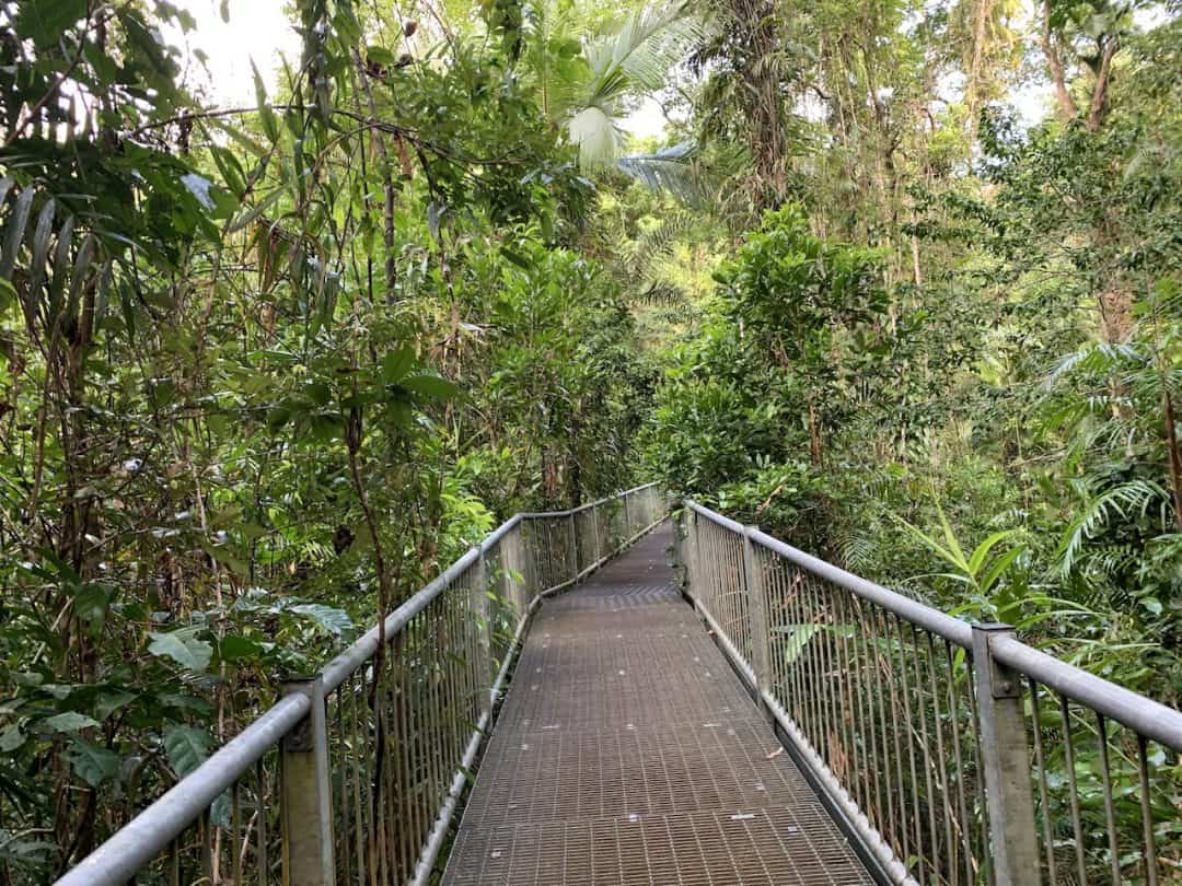 A Complete Overview of the Daintree Discovery Centre | Australia