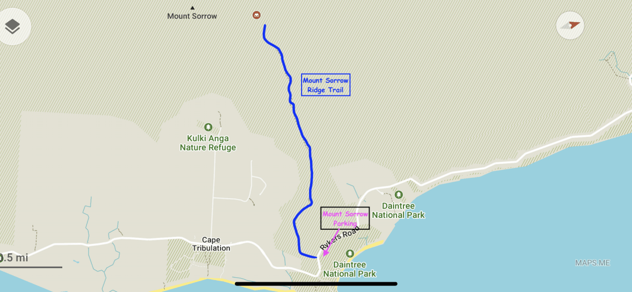 Hiking the Mount Sorrow Ridge Trail | Daintree Rainforest | TripTins