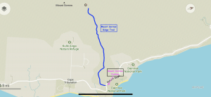 Hiking the Mount Sorrow Ridge Trail | Daintree Rainforest | TripTins