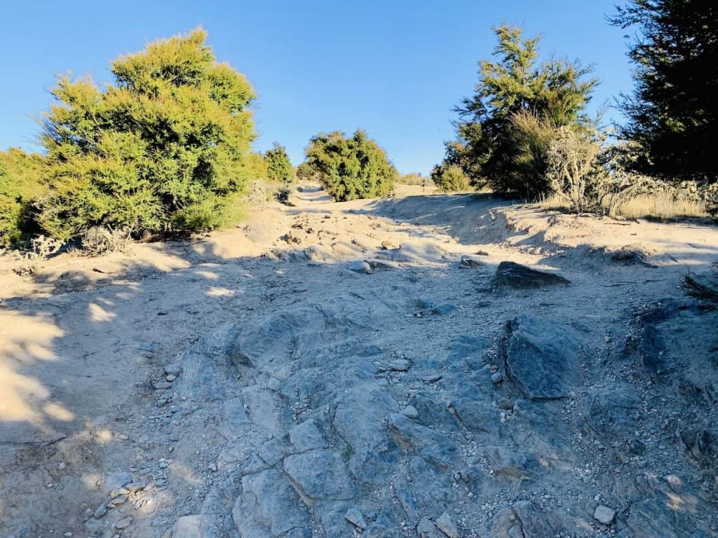 Hiking the Mount Iron Track of Wanaka | Mt Iron Wanaka Walk